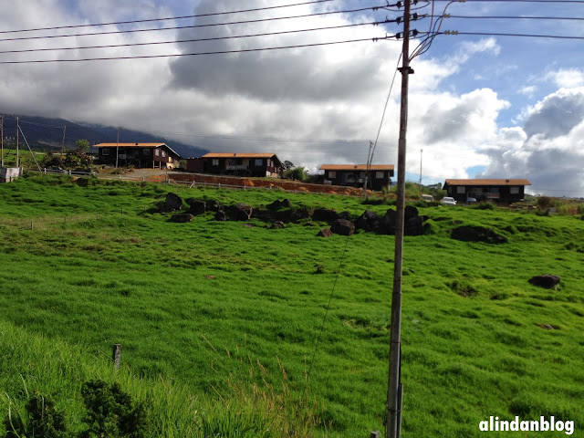 Blog alin: Desa Dairy Farm, Kundasang, Ranau (Gambar)