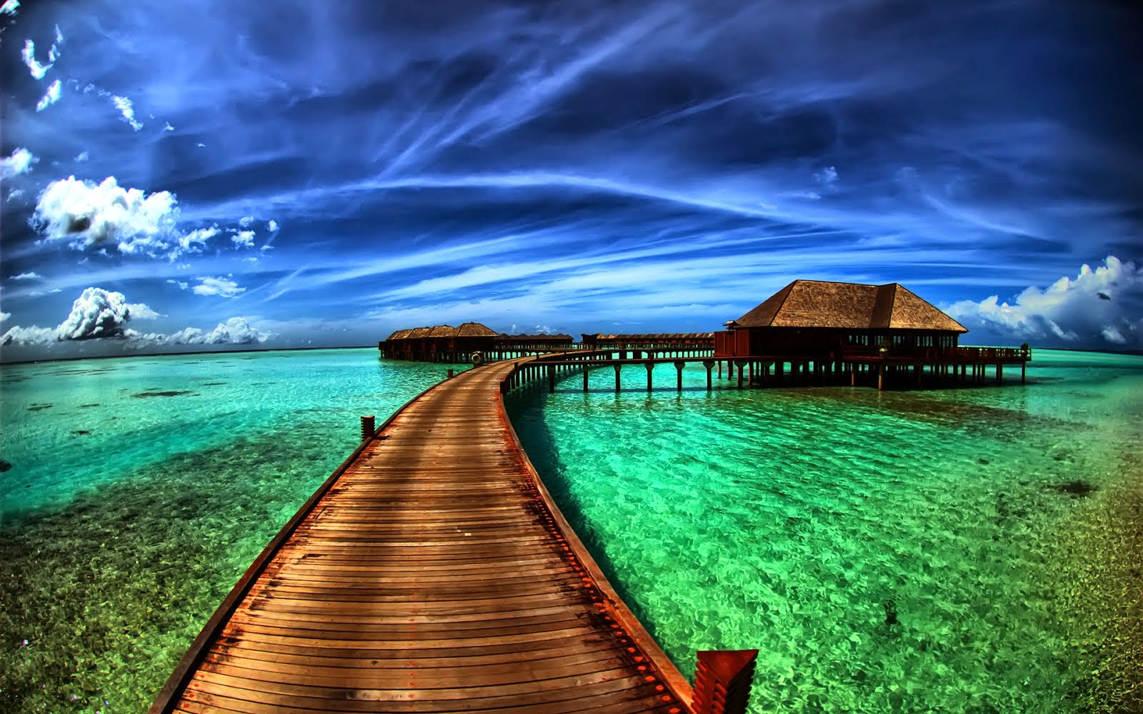 HD Wellpaper,HD Photo,pictures,images | Free Funny Images