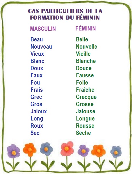 Frances de 1º de Bachillerato (A2): Le féminin irrégulier des adjectifs