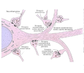 Estrategias didácticas y su aplicación desde los planes de clases: 2018 ...