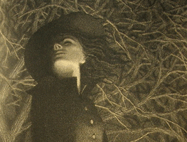 In the Pages of a Book ...: THE WIDOW'S BROOM by Chris Van Allsburg The ...