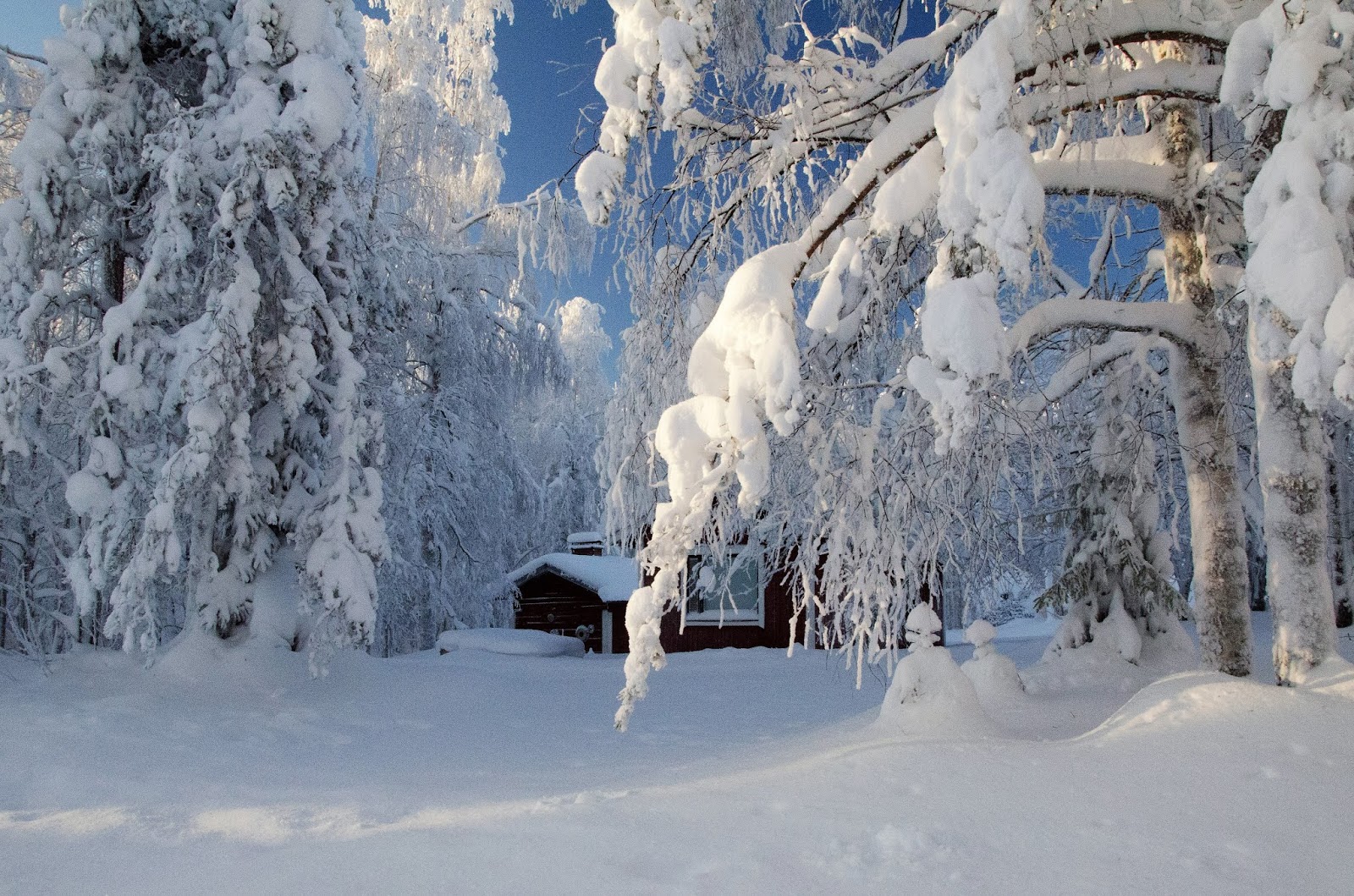Talven huuruiset maisemat