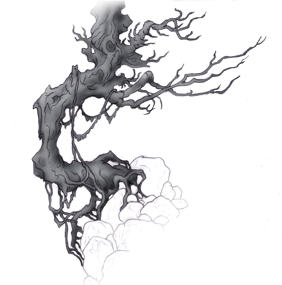 Magellin . Blog: Wicked old tree