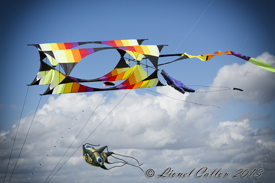 Lionel Callow Photography: Kite Festival Dunstable Downs