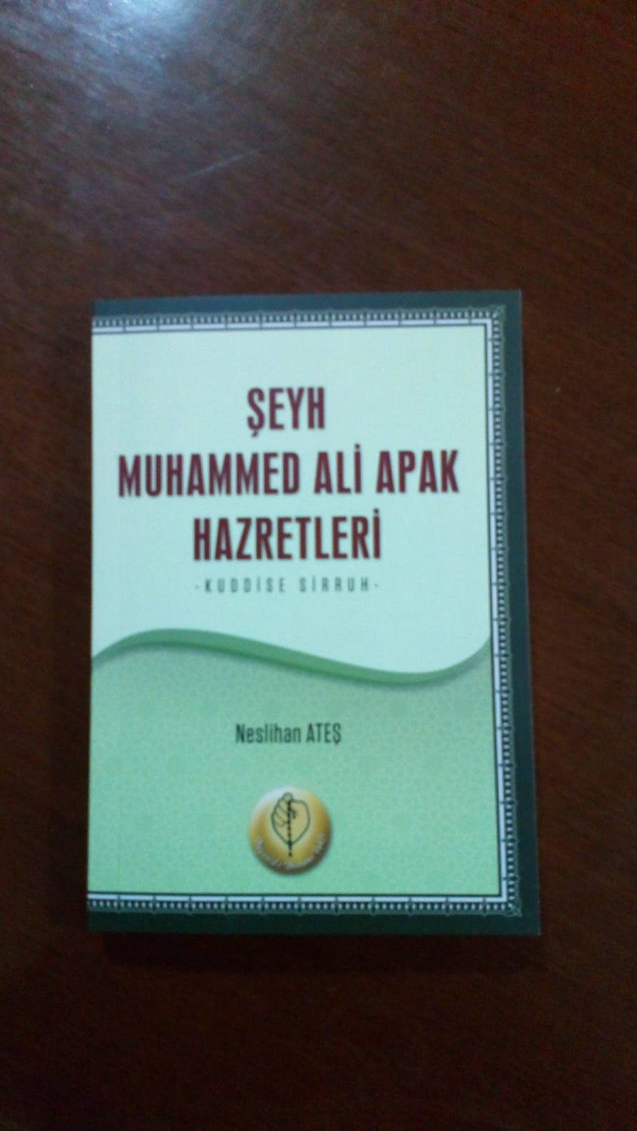 MEVLEVİ MEHMET FİKRİ METLİ DEDE : MEHMET ALİ APAK HAYATI