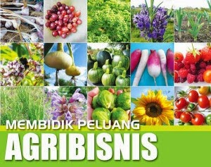 GAMBAR PERTANIAN AGRIBISNIS ~ AGRIBISNIS