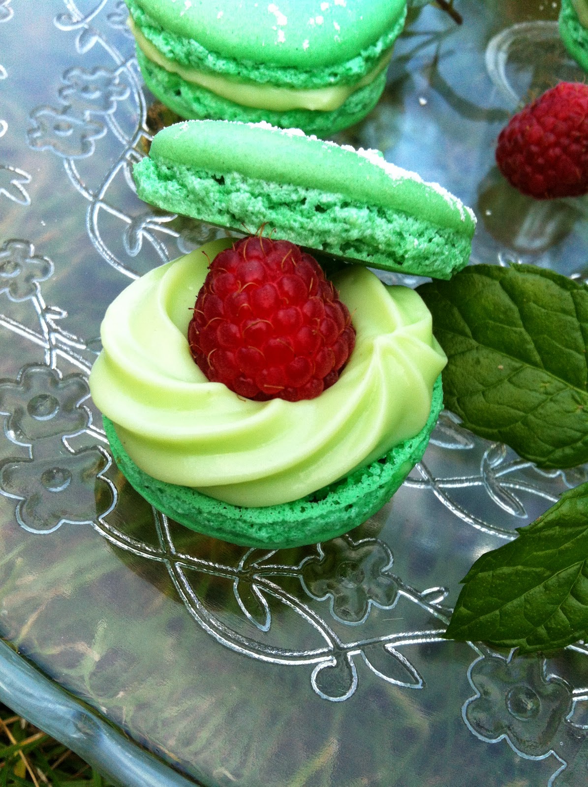 MACARONS FRAMBOISE PISTACHE