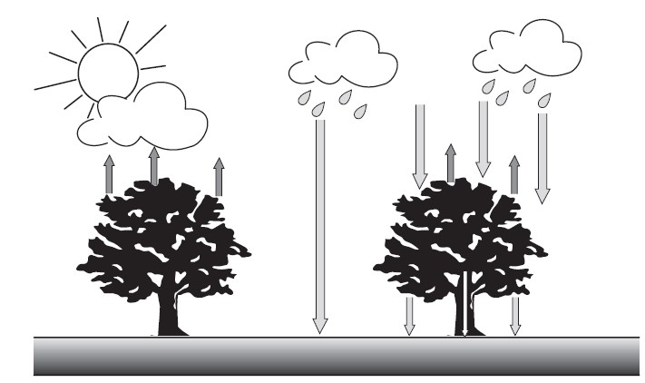 INTERCEPTION: Factors and Measurement ~ Official Ronson Laltanpuia Web Page