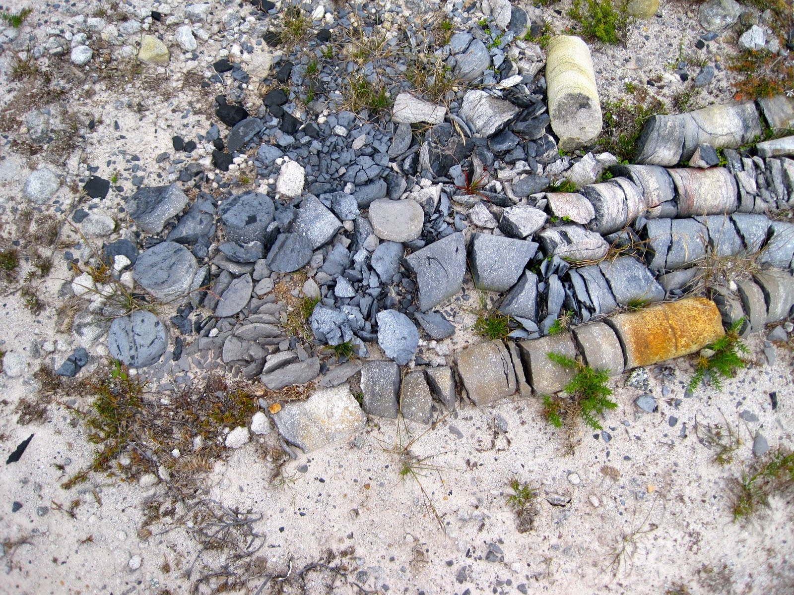 Carolyn in Aotearoa: The Mines of Millerton (Yes, Millerton, not Moria)