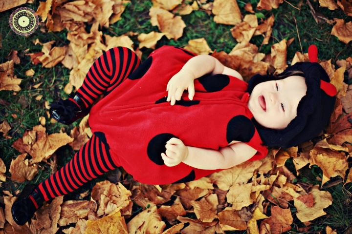 My Liddy Bug: The Coming of Winter