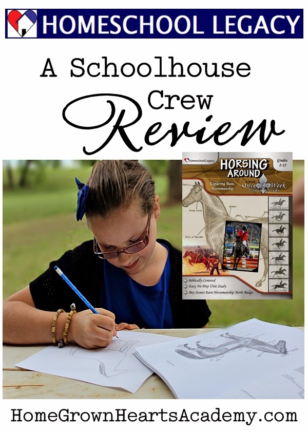 Home Grown Hearts Academy Homeschool Blog: Homeschool Legacy ~ Horsing Around ~ Review