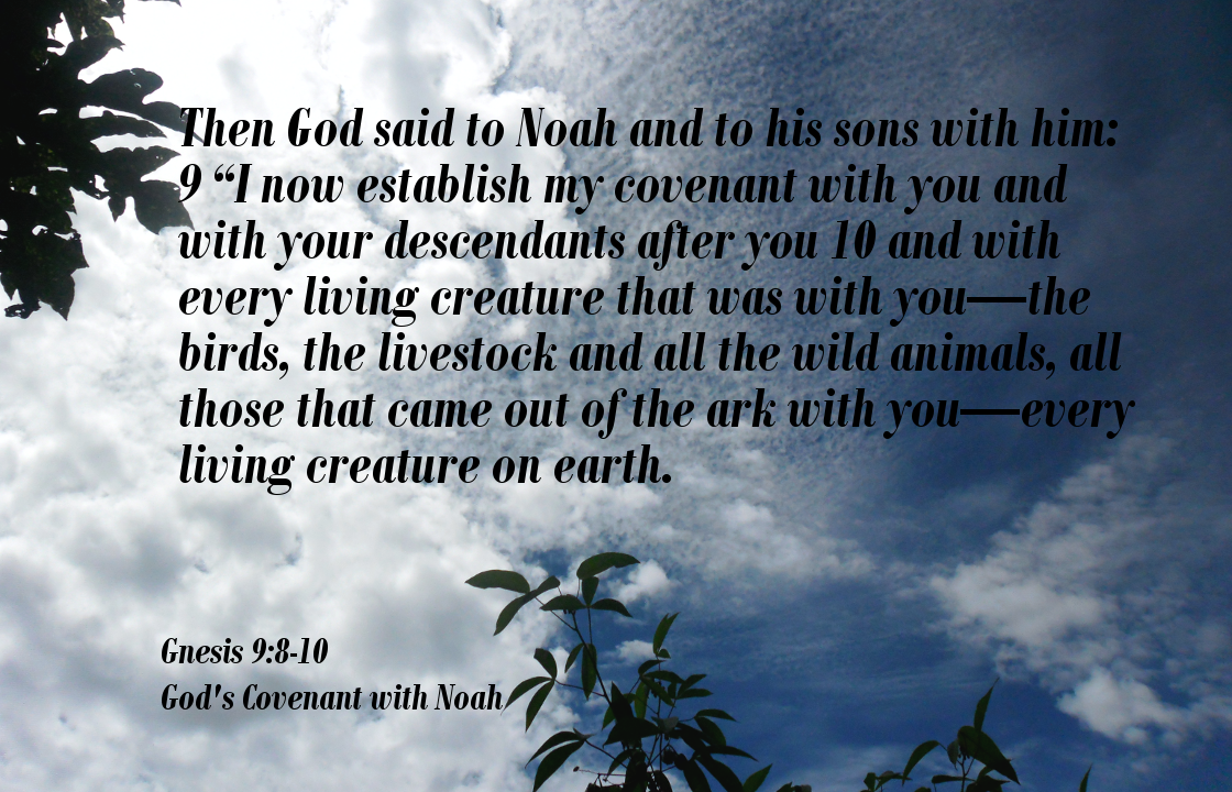 Genesis 9:8-10 God's Covenant with Noah