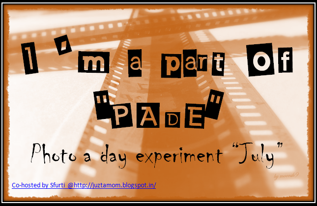 Juzt a mom!: Photo a day experiment PADE!