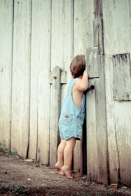 A. Leigh Photography: the goebel family {gruene, texas family photographer}