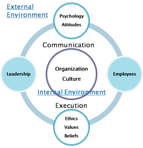 Cultural Approach to Organizations