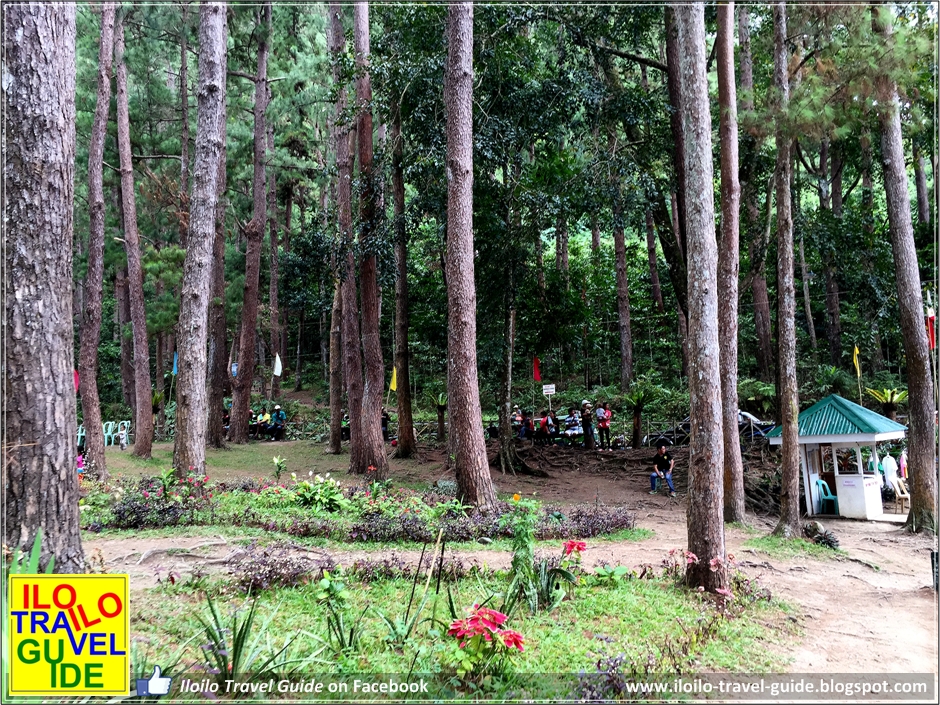 Bucari, Leon: Iloilo's "Little Baguio" and Summer Capital