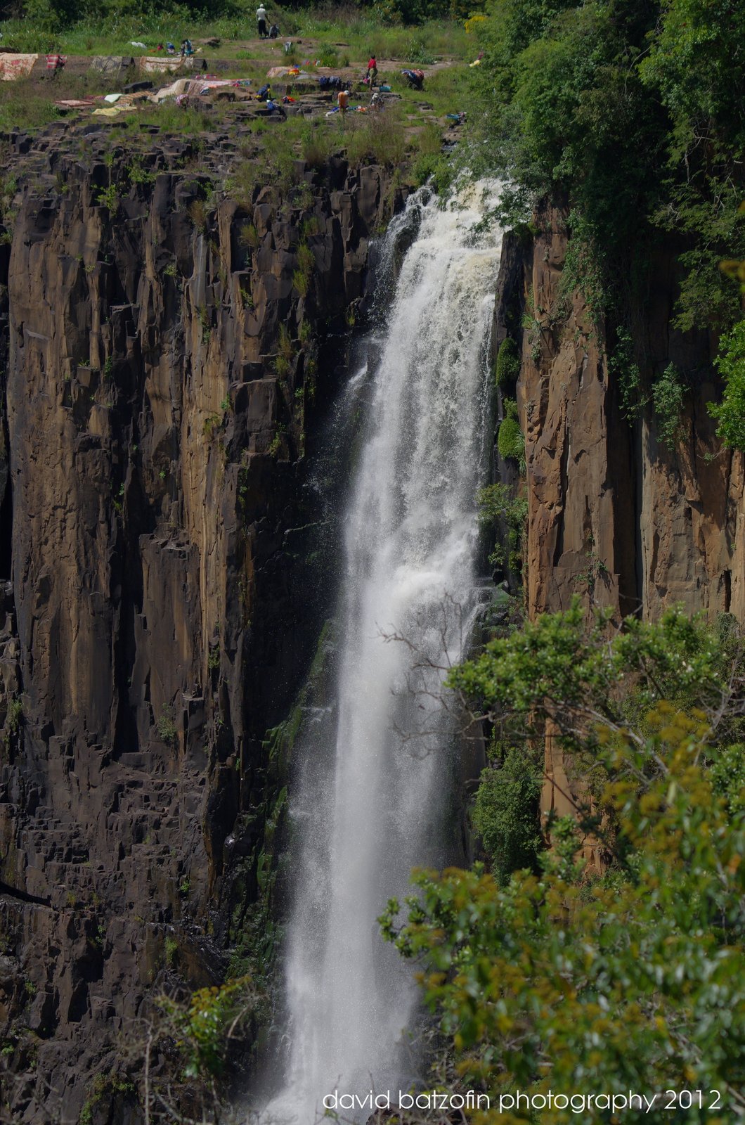 In and around Howick - Travel & Things