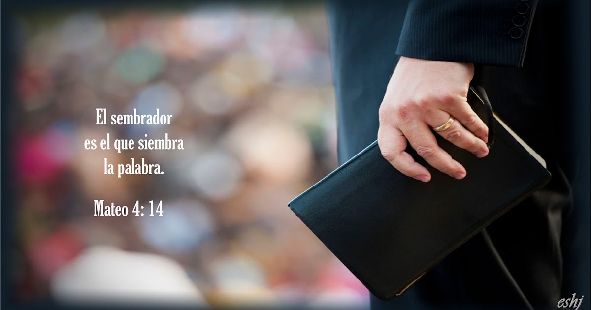 Marcos 4 Nueva Versión Internacional (NVI)