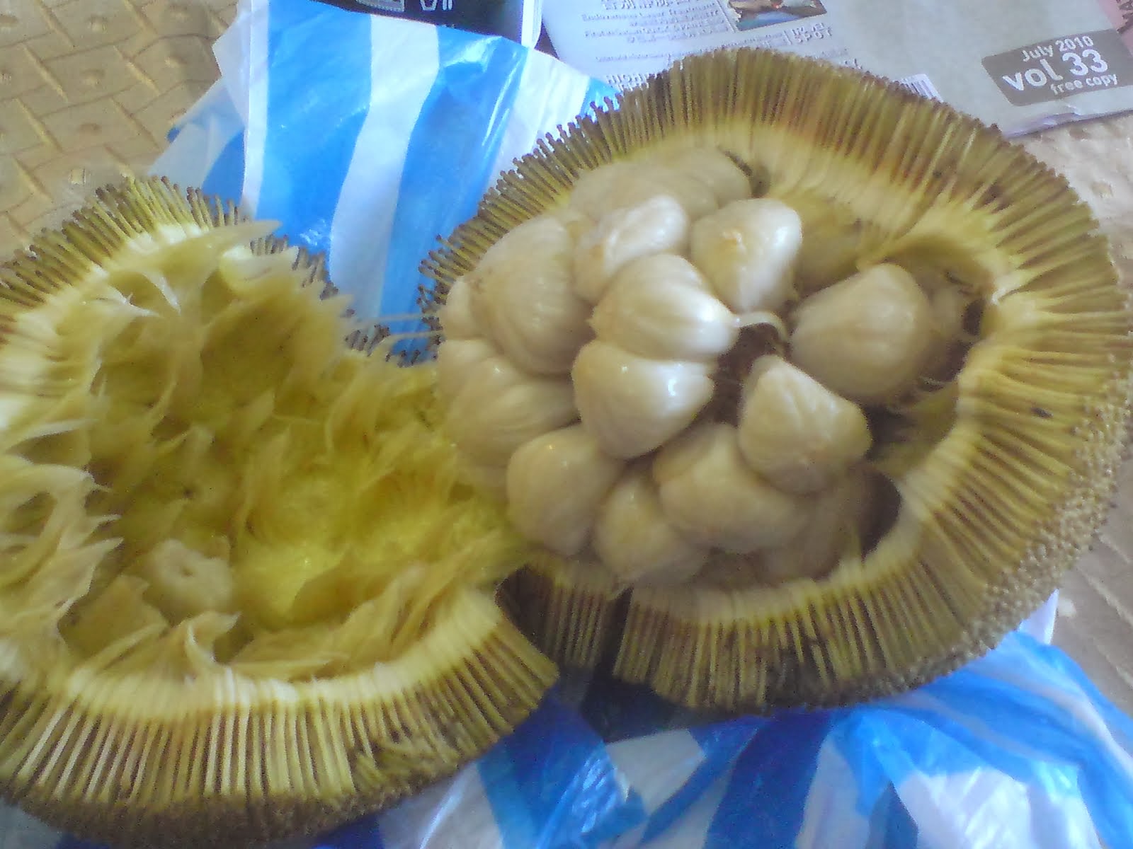 Cipta Success Marketing: Buah Tarap Sabah