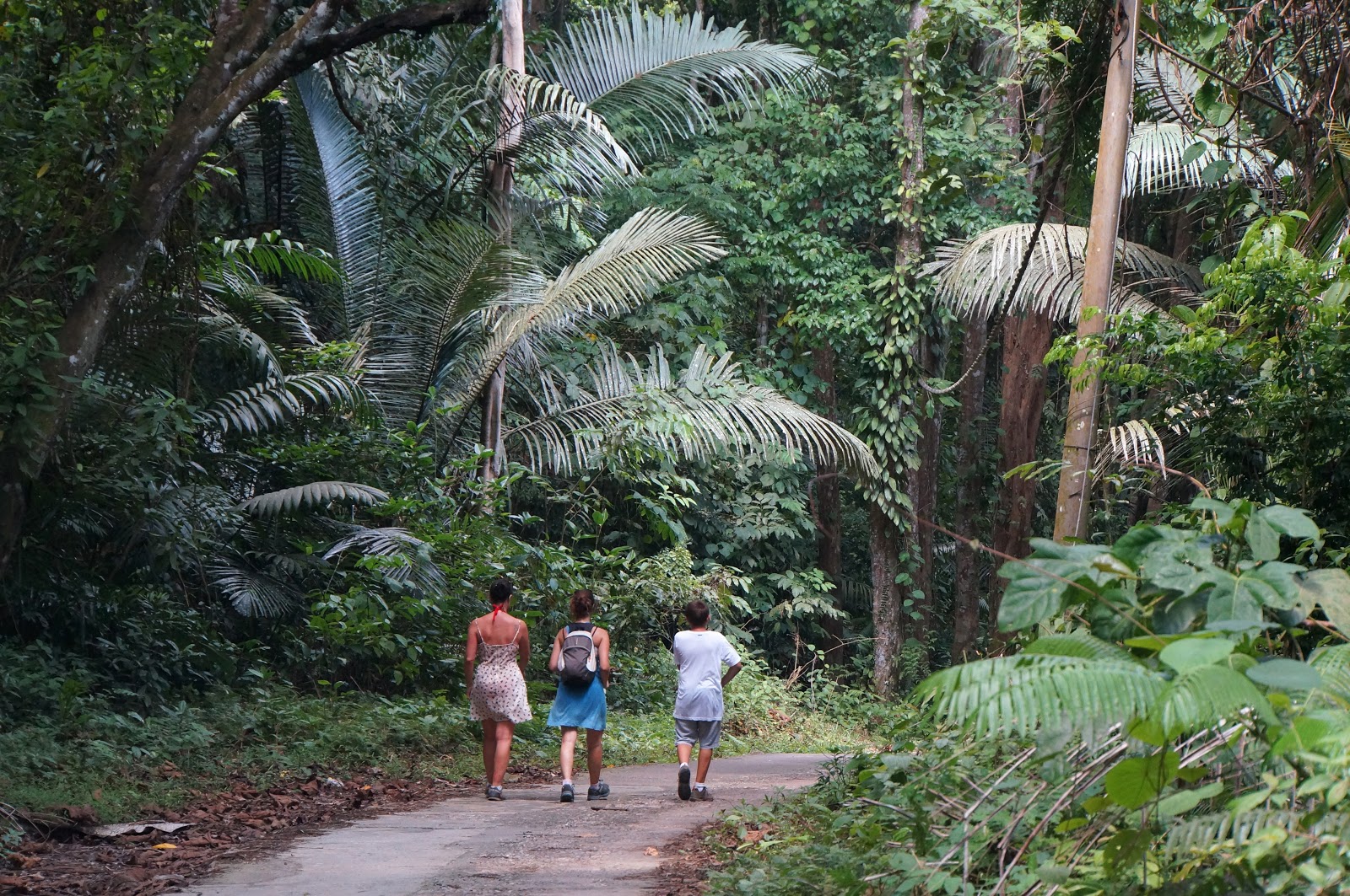 Malaisie - jour 12 : Tioman - Jungle trek vers Juara