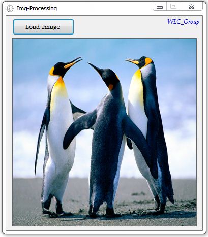 C# - Image Loading to PictureBox | WLC_Programming Knowledge