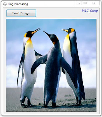 C# - Image Loading to PictureBox | WLC_Programming Knowledge