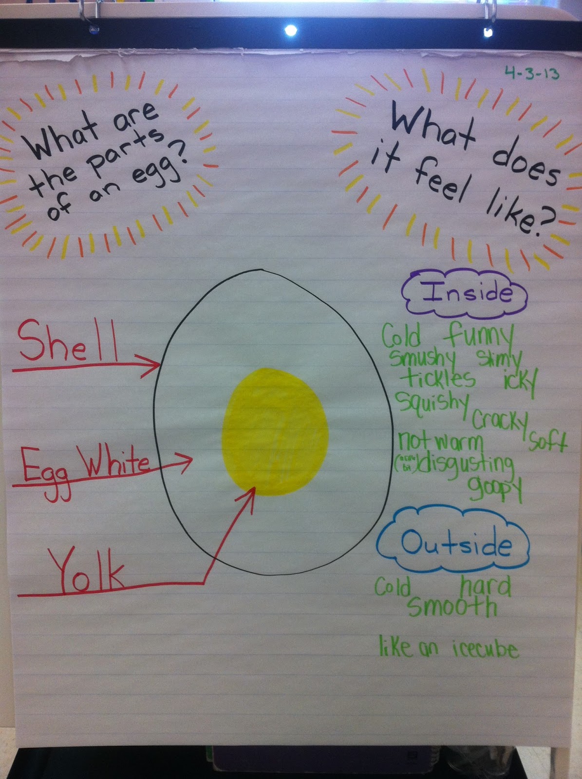 Learn + Play = Pre K: What's inside an egg?