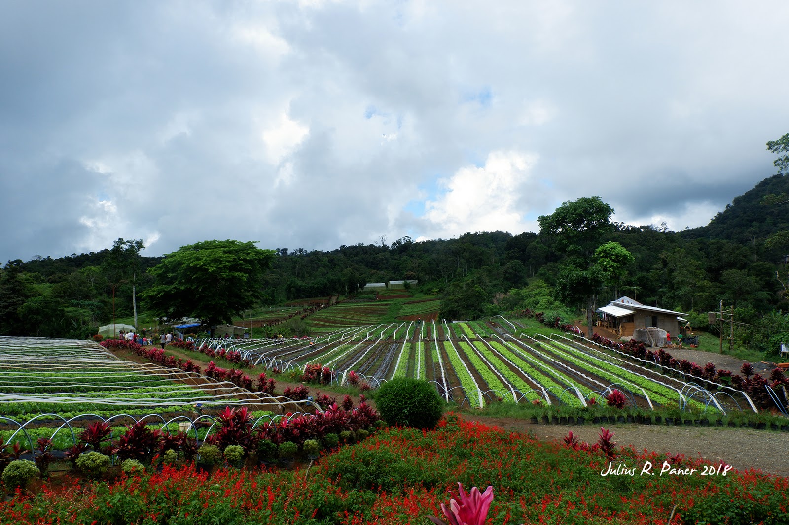 LOGSAC: BEMWA Farm underscores healthy option and countryside Davao ...