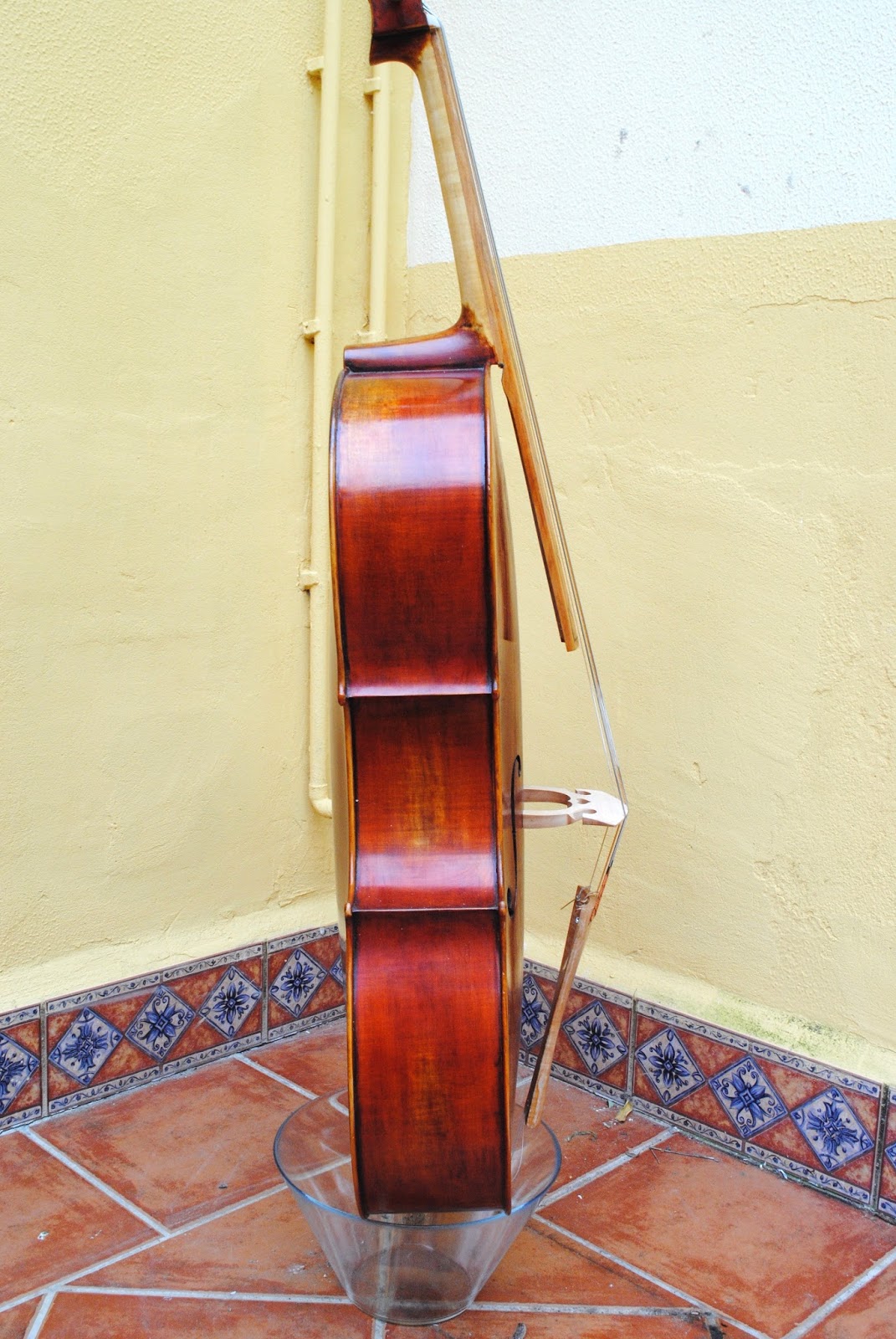 Violoncello Barroco