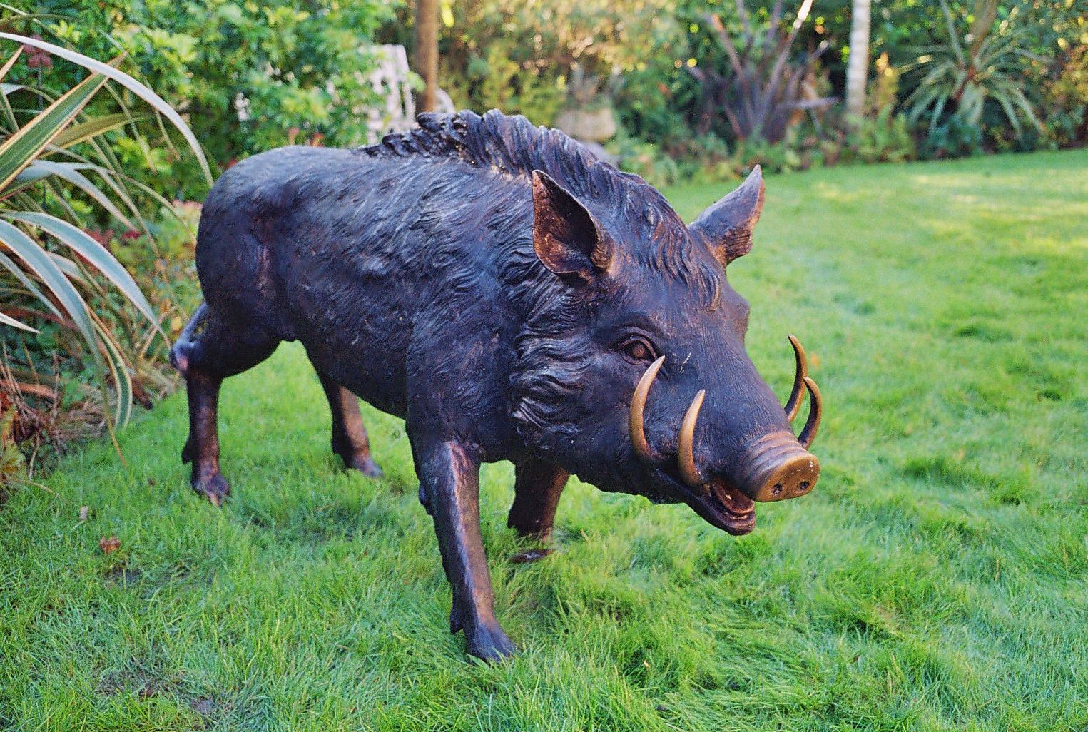 Tenairn: Boar