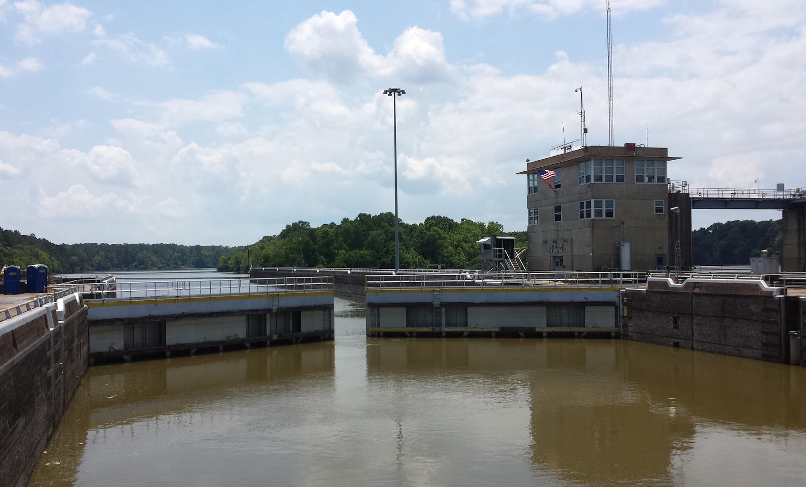 Our Odyssey: Demopolitan Mayfly Mayhem