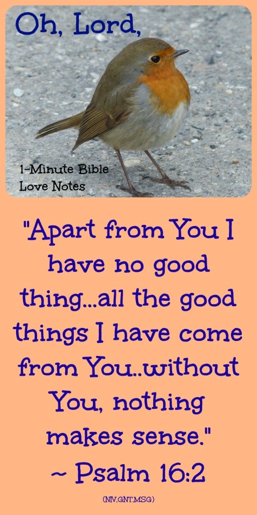 1-Minute Bible Love Notes: Psalm 16: Apart From God I Have No Good Thing
