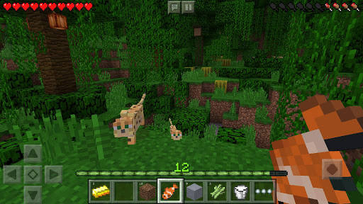 Minecraft Pocket Editon