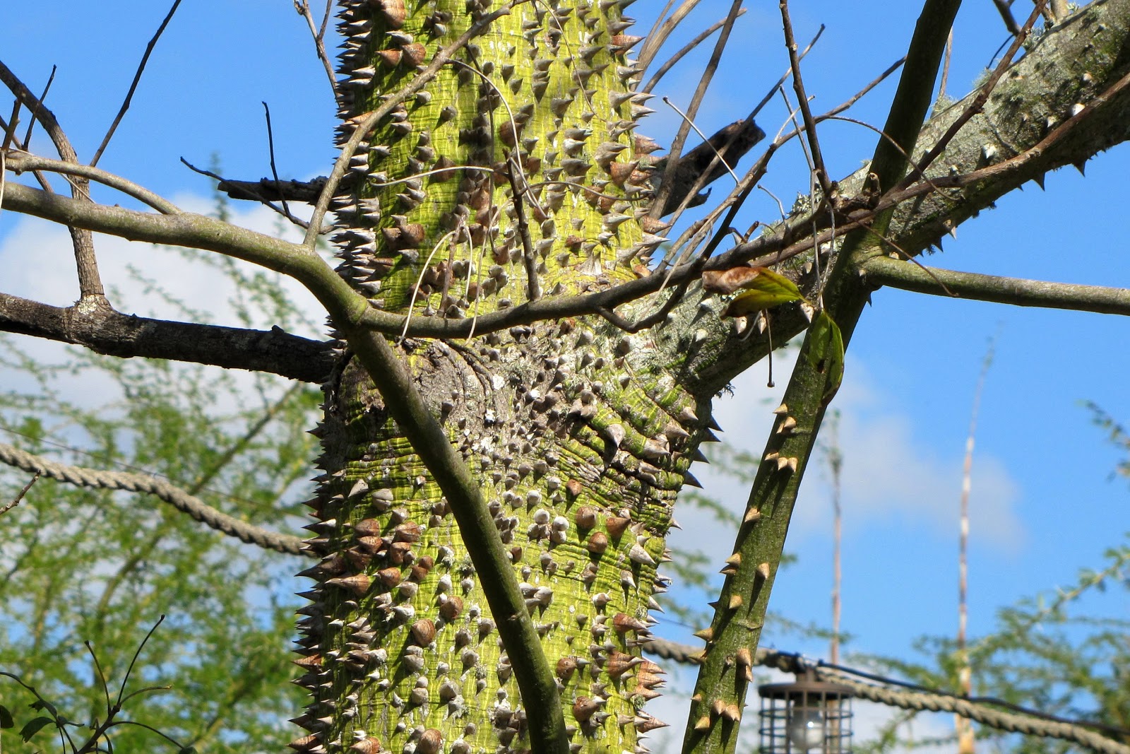 To Behold the Beauty: 1/1/13 - 2/1/13