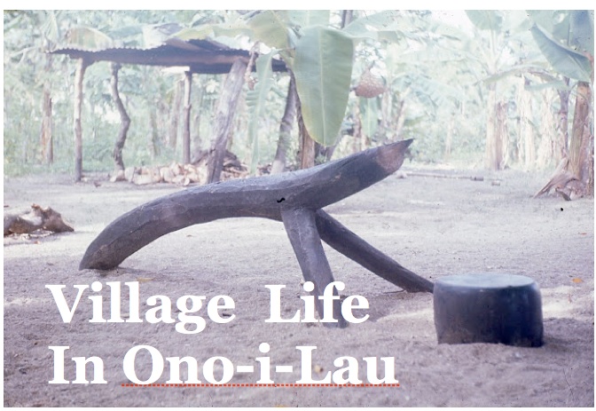 Daily Life In Ono-i-Lau, Fiji 50 Years Ago : Village Life In Ono-i-Lau