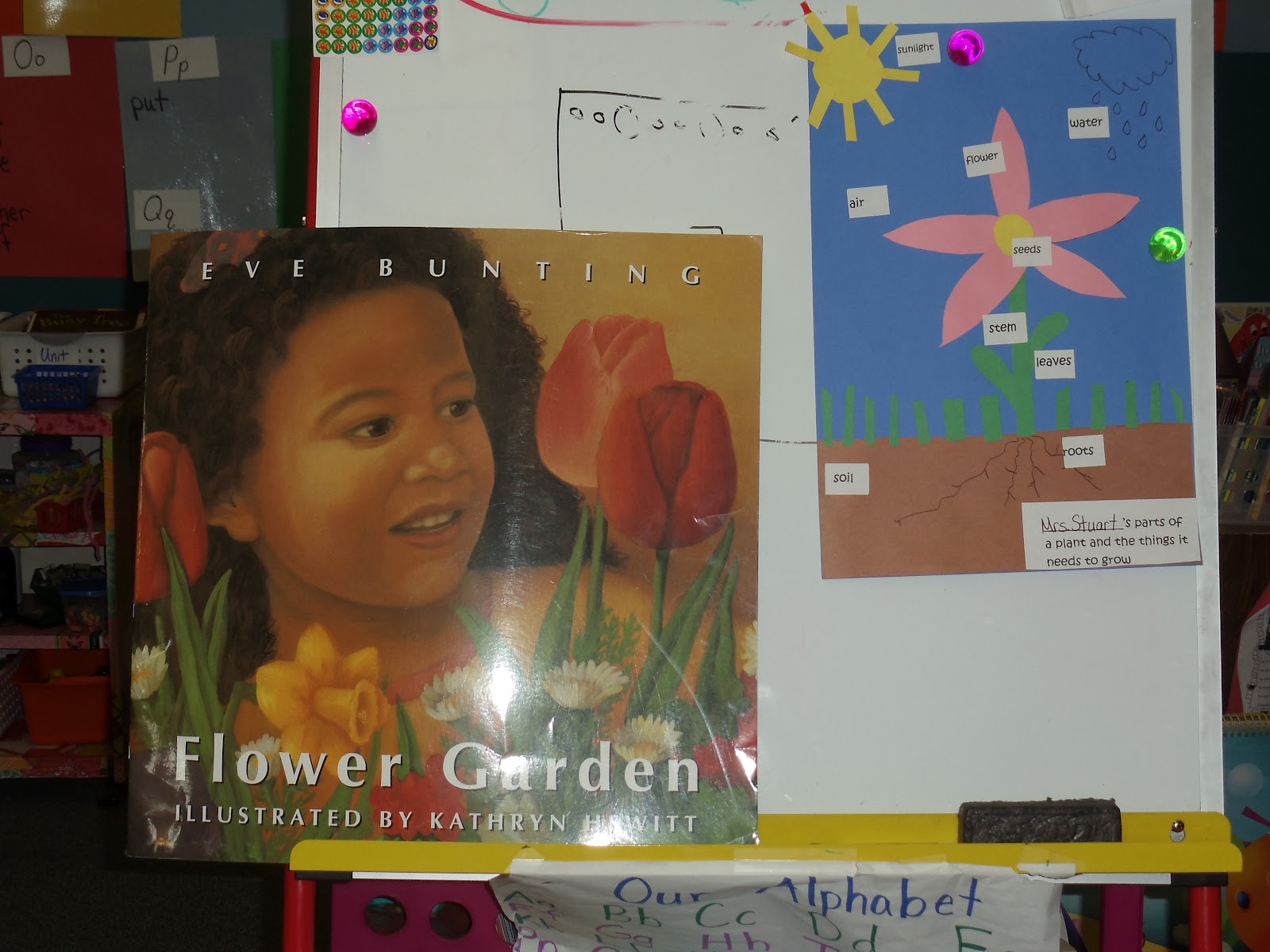 Mrs. Stuart's Munchkin Land!: Flower Garden in the Classroom