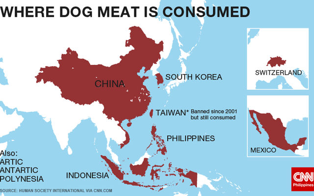 Sorry,all the clever names are taken.: Yulin Dog Meat Festival
