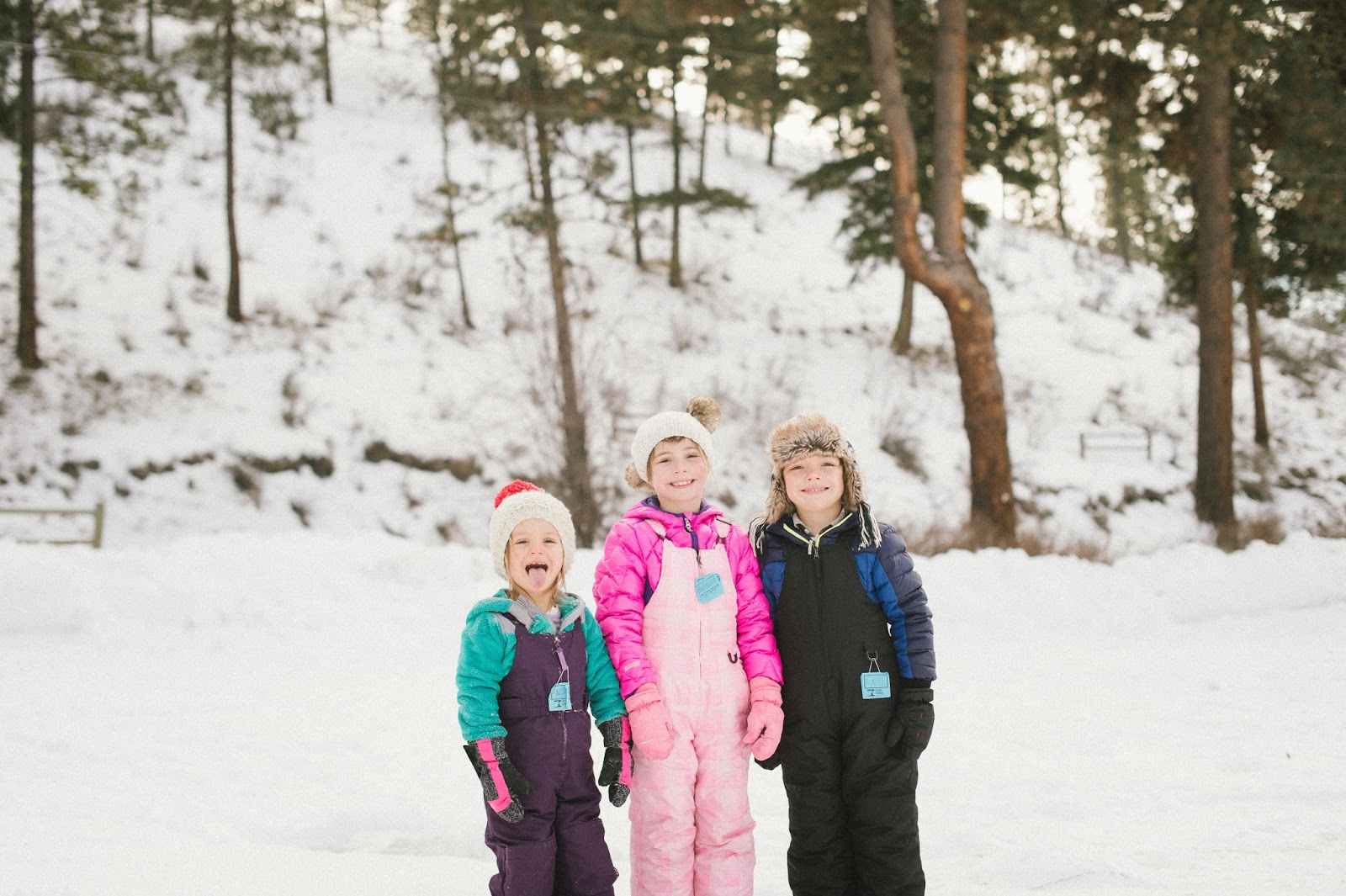 Addison, Finn & Avery