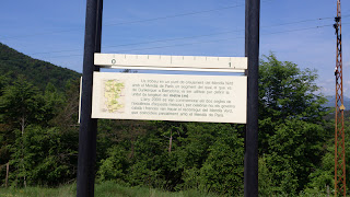 ORBIS TERTIUS: Coll de Canes-Coubet y Coll Santigosa