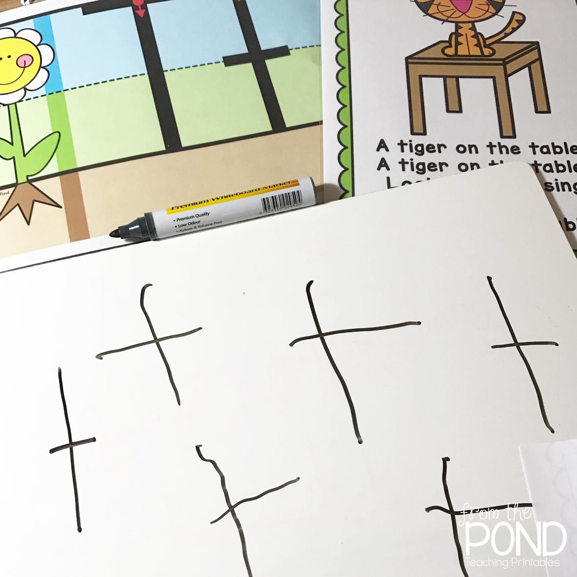 Let's Learn All About the Letter Sound T | From the Pond