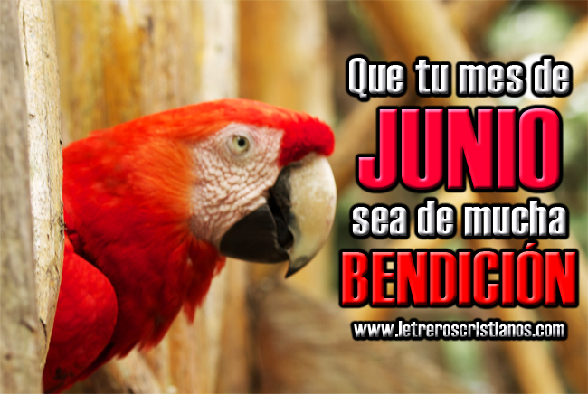 Imágenes para iniciar el mes de Junio