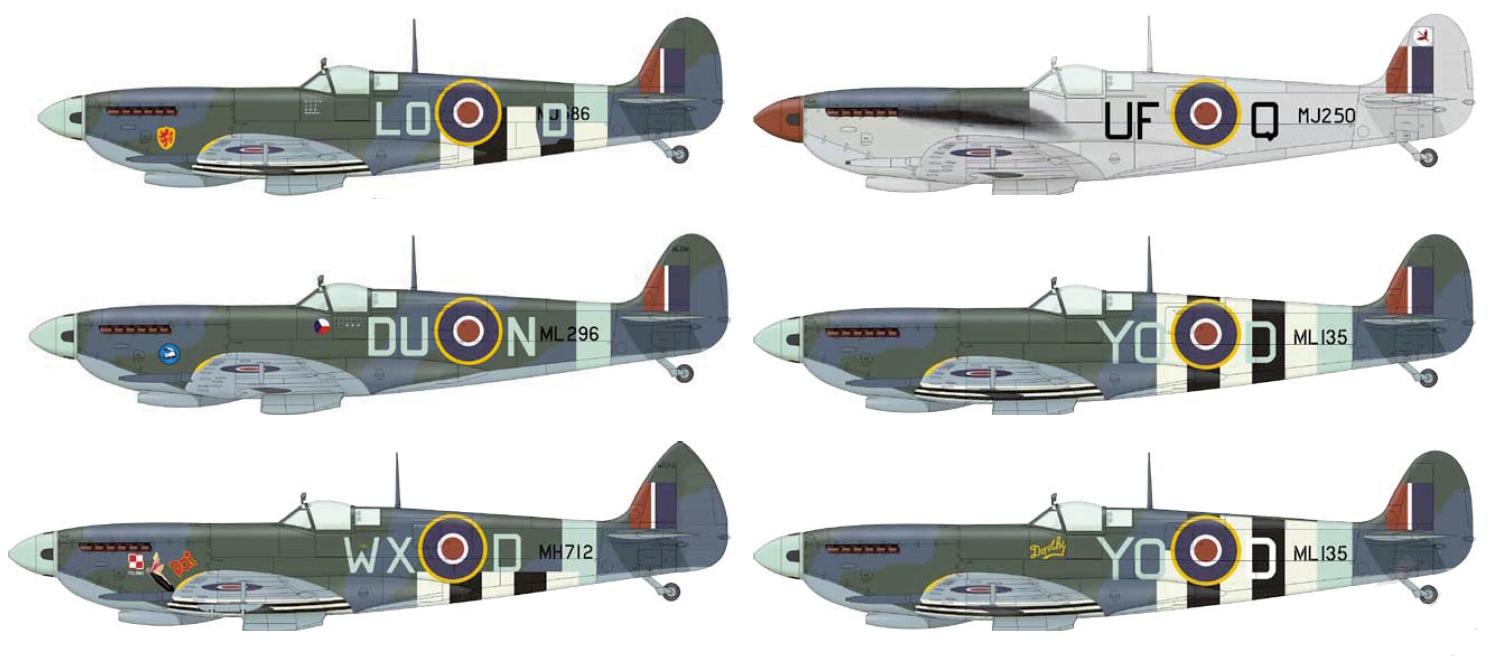 Kampfgruppe 1/144: 1/144 Spitfire Mk.IXc - Eduard