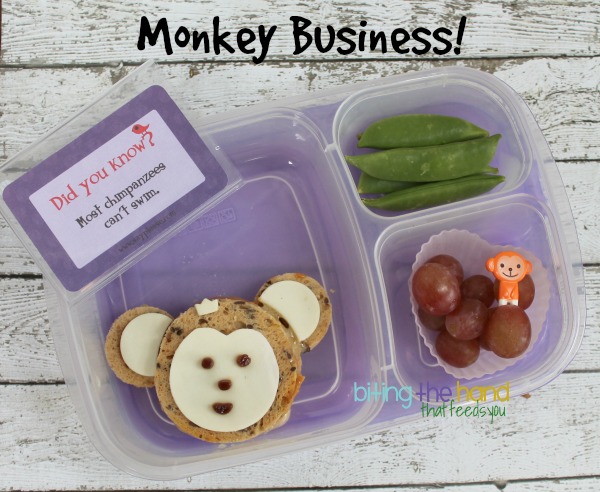 Biting The Hand That Feeds You: Monkey Business Lunch