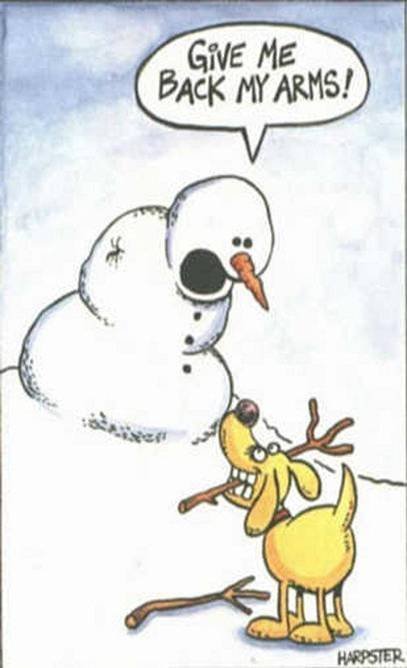 The Eco - Senior: Winter humour