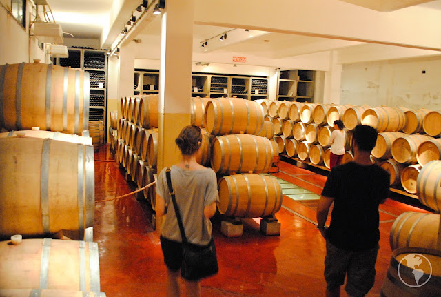 Visitando a Bodega Bouza em Montevidéu, uma vinícola indicada para ...