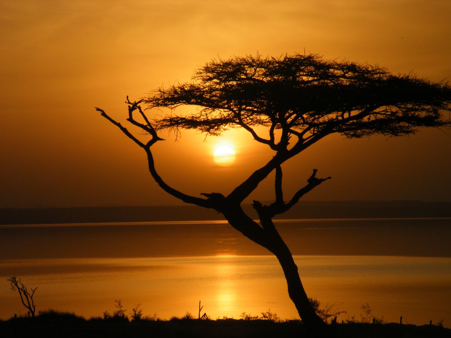 RETRATOS DEL MUNDO: El bosque de Bishangari, Langano. Etiopía.