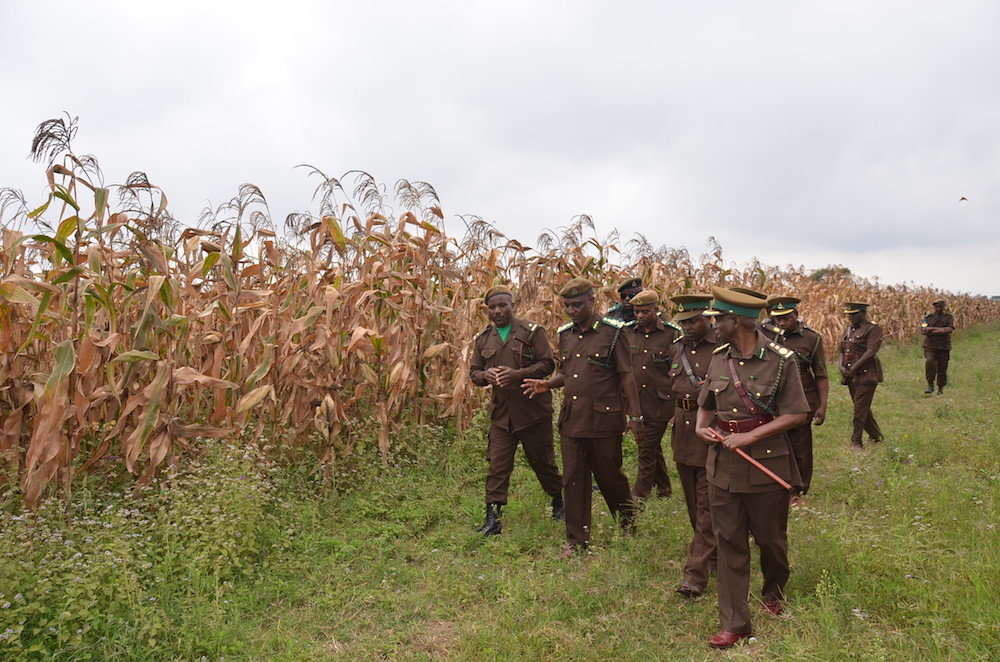 MATUKIO @ MICHUZI BLOG: KAMISHNA JENERALI WA MAGEREZA PHAUSTINE KASIKE ...