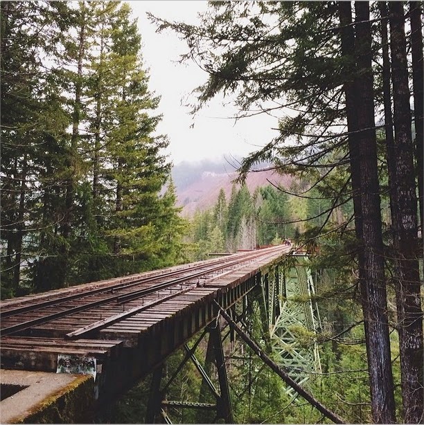 Fascinations: Bucket List Saturday: Vance Creek Bridge