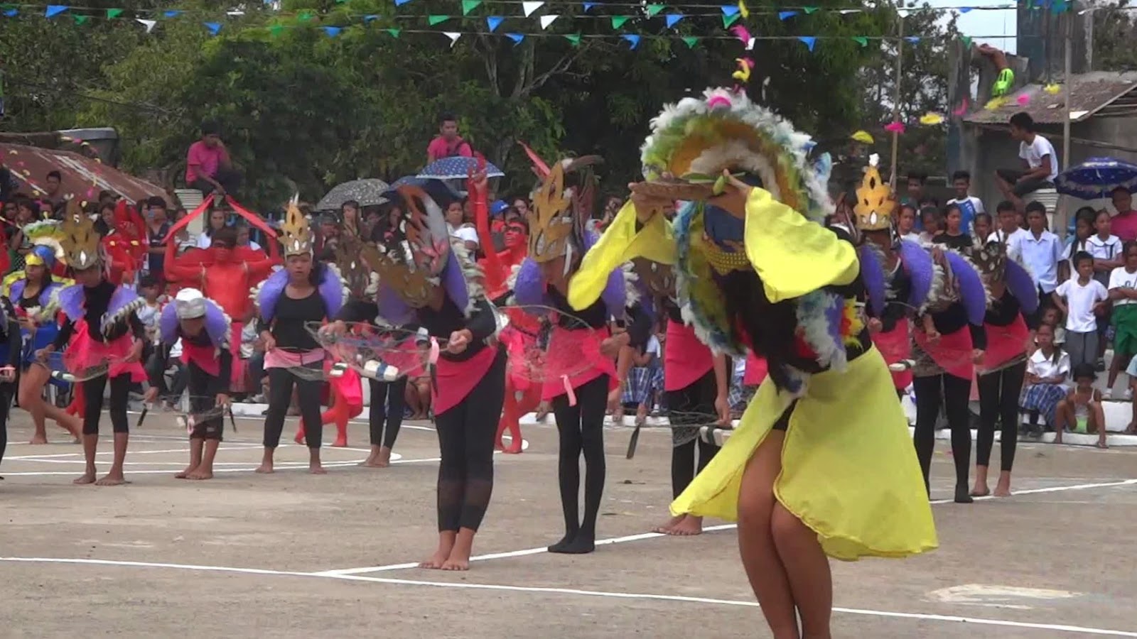 Under A Million Miles Of Sky: The Kinis Festival