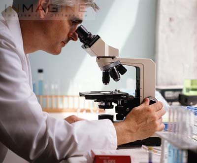 TECNICO LABORATORISTA CLINICO: CLASES DE LABORATORIO